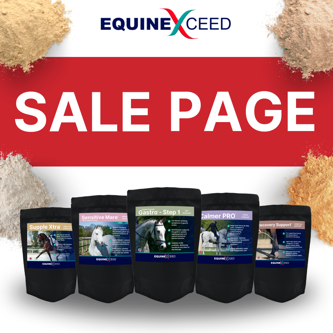 Sale – Equine Exceed Ltd