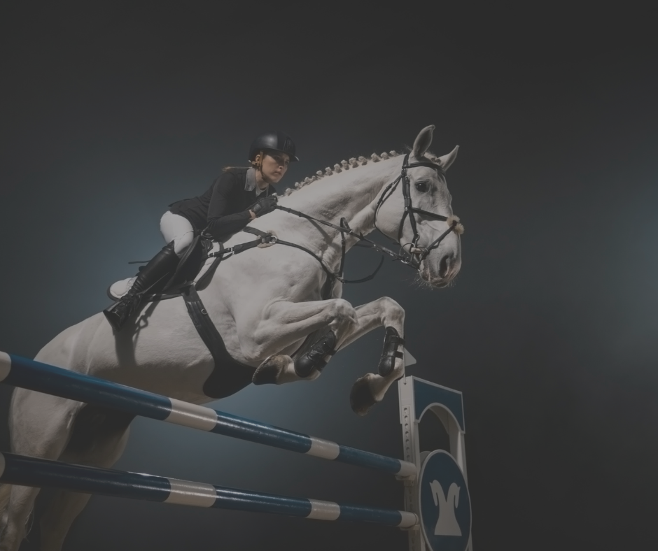 Equine Performance Supplements – Equine Exceed Ltd